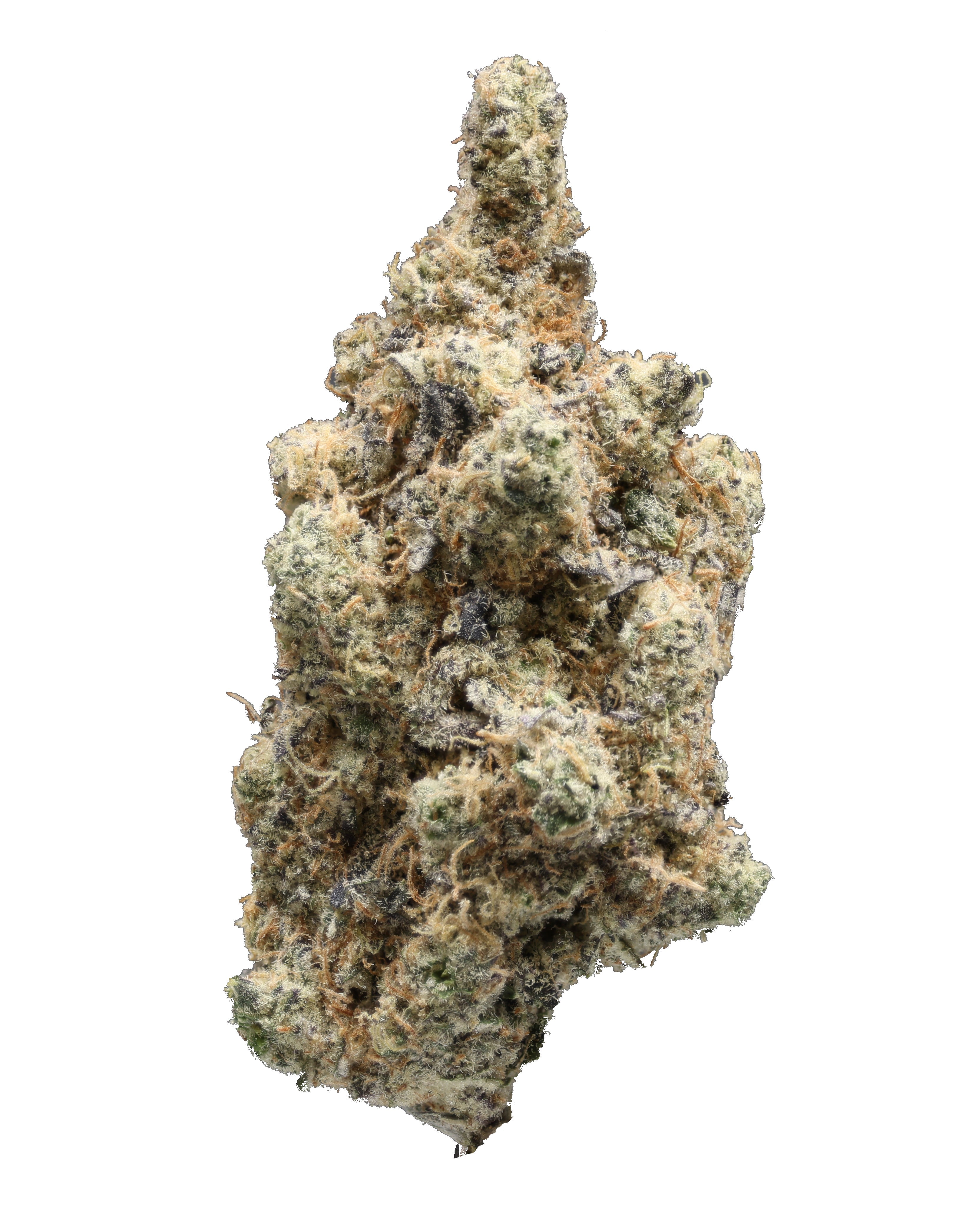 GMO Mints – Alcottmax