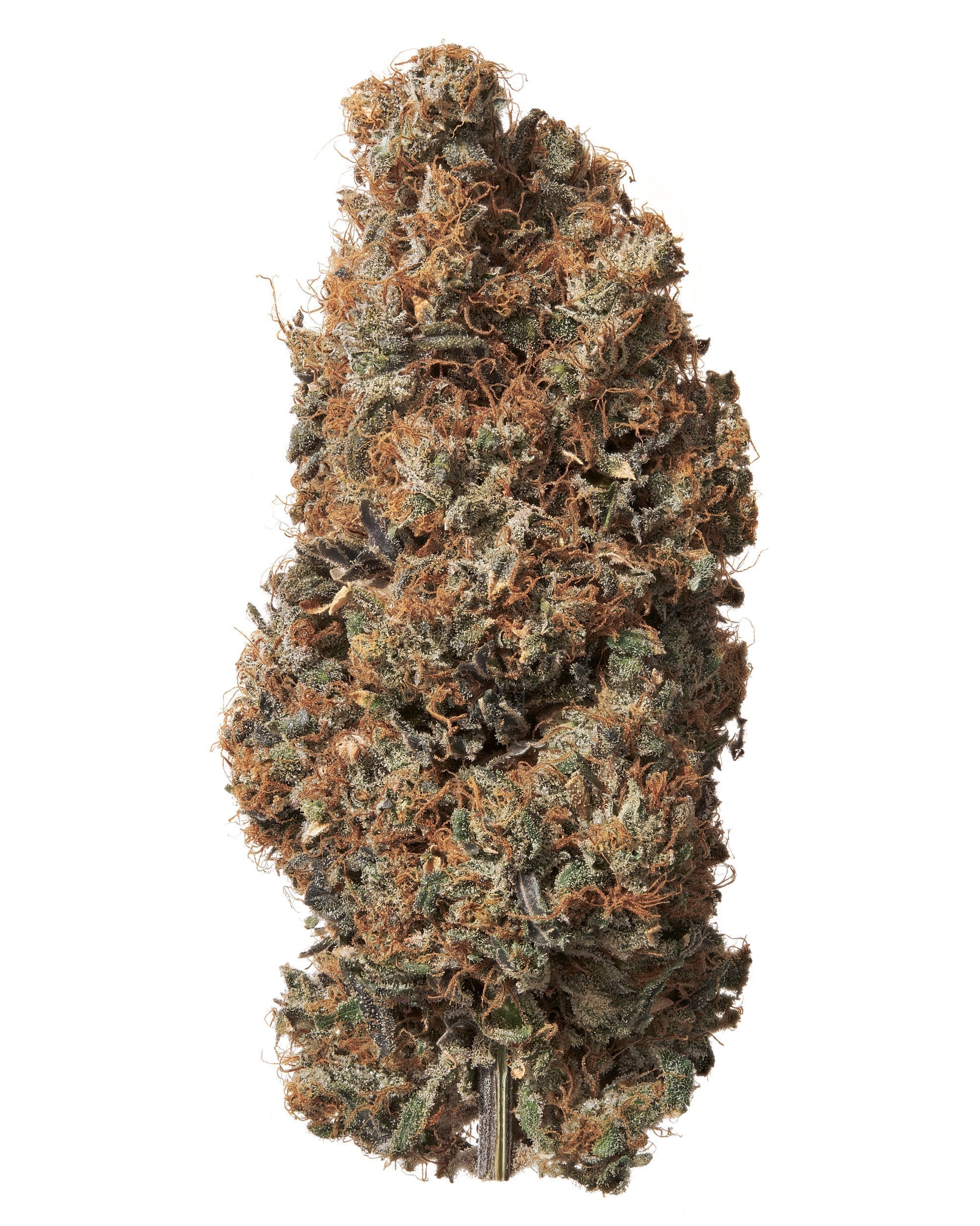 Cakeberry Brulee (Regular & THCA Infused) – Alcottmax