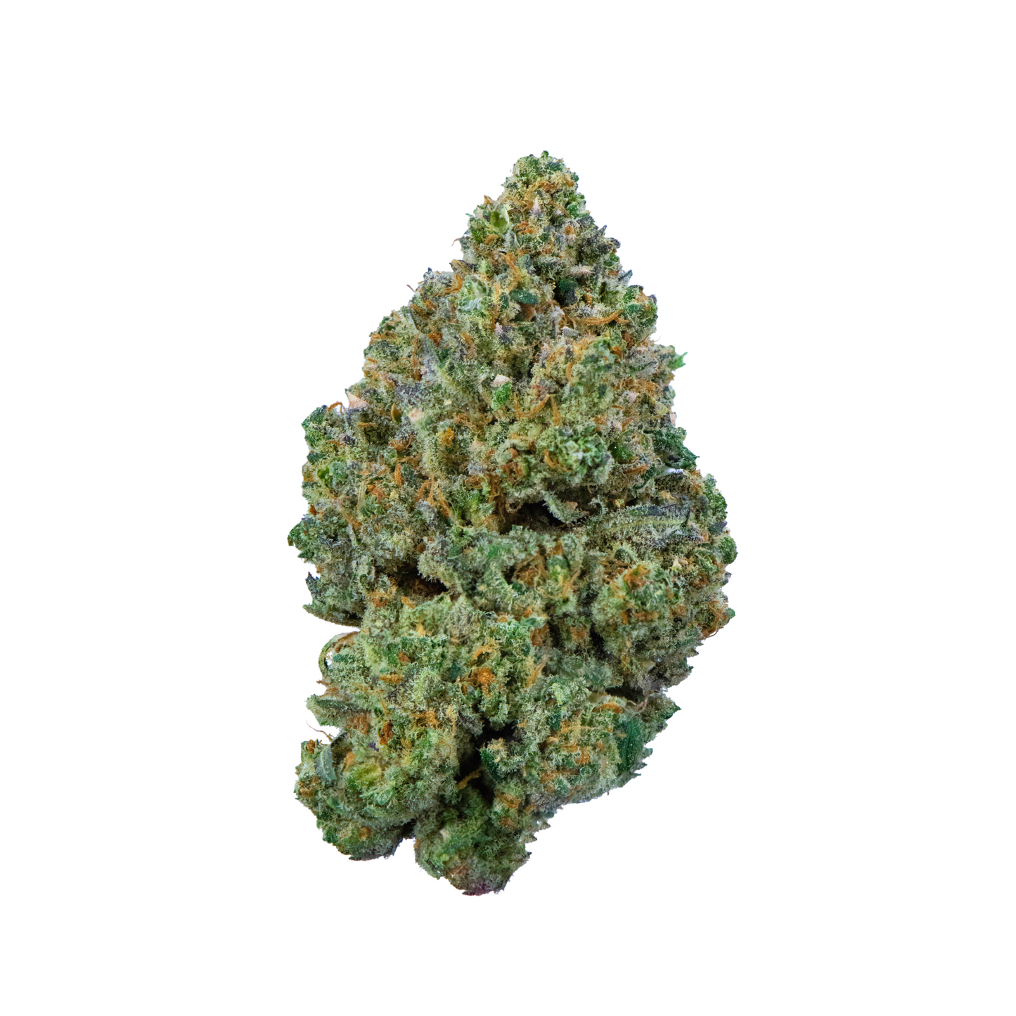 Indoor K2 Kush – Alcottmax